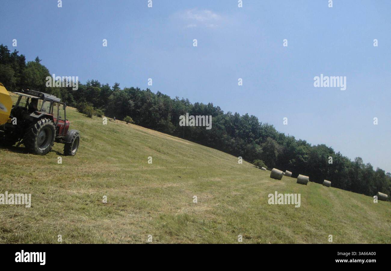 mowing grassland to feed animals farmer with a lawn mower mowing grass ...