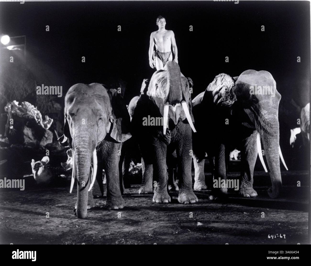 RELEASED: Apr 16, 1934 - Original Film Title: Tarzan and His Mate ...