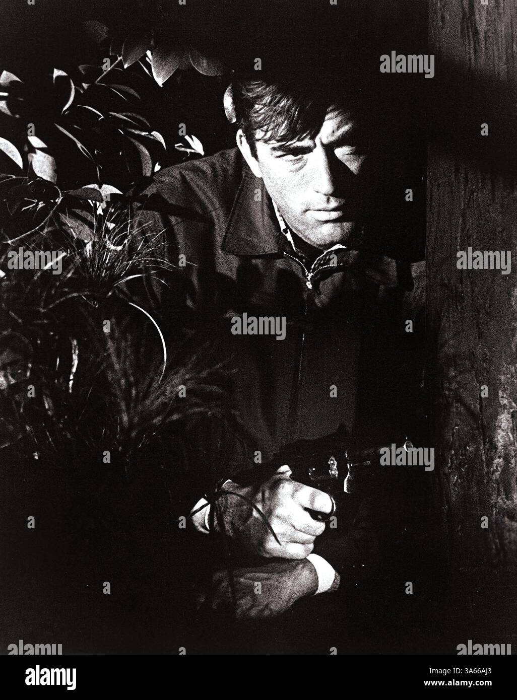 Feb 03, 1962; Hollywood, CA, USA; GREGORY PECK stars as Sam Bowden in ...