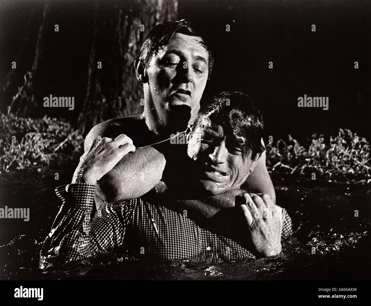 Feb 06, 1962; Hollywood, CA, USA; GREGORY PECK and ROBERT MITCHUM star ...