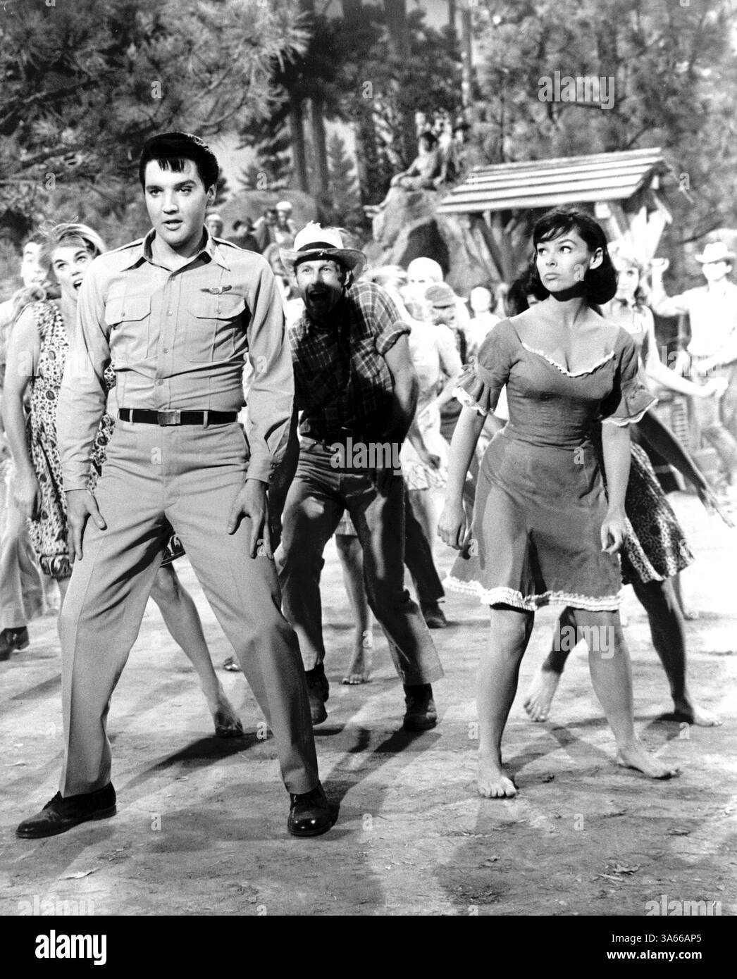 RELEASED: Mar 6, 1964 - Original Film Title: Kissin' Cousins. PICTURED ...