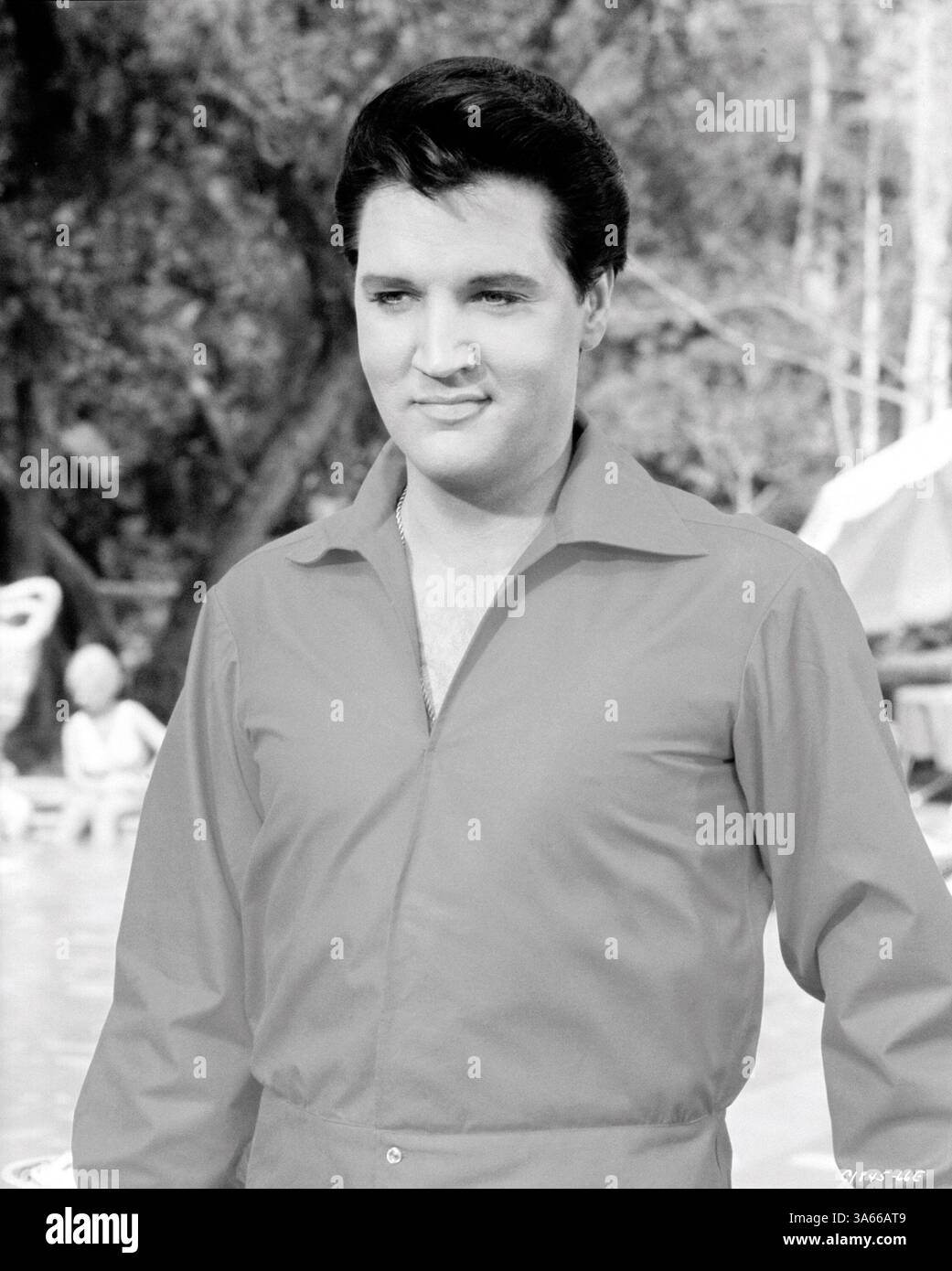 Elvis spinout hi-res stock photography and images - Alamy