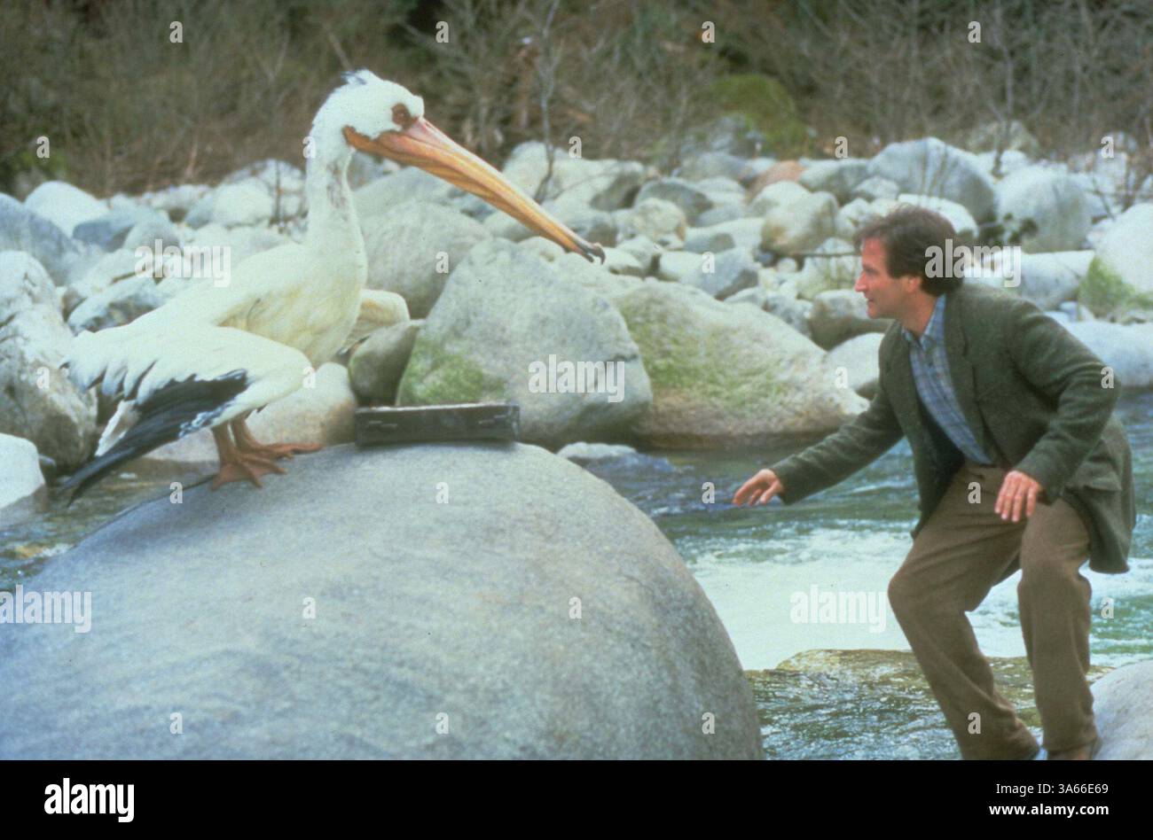 Apr 18, 1995; Hollywood, CA, USA; Image from director Joe Johnston's ...