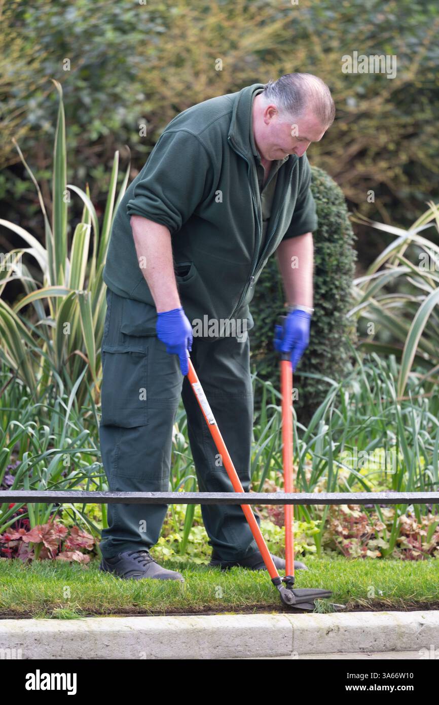 10 Downing Street, London, UK. 25th Mar, 2025. The small garden lawn is ...