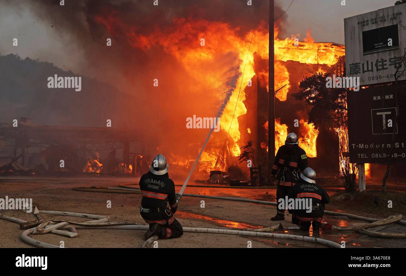 Firefighters struggle to extinguish the fire triggered by a wildfire in ...