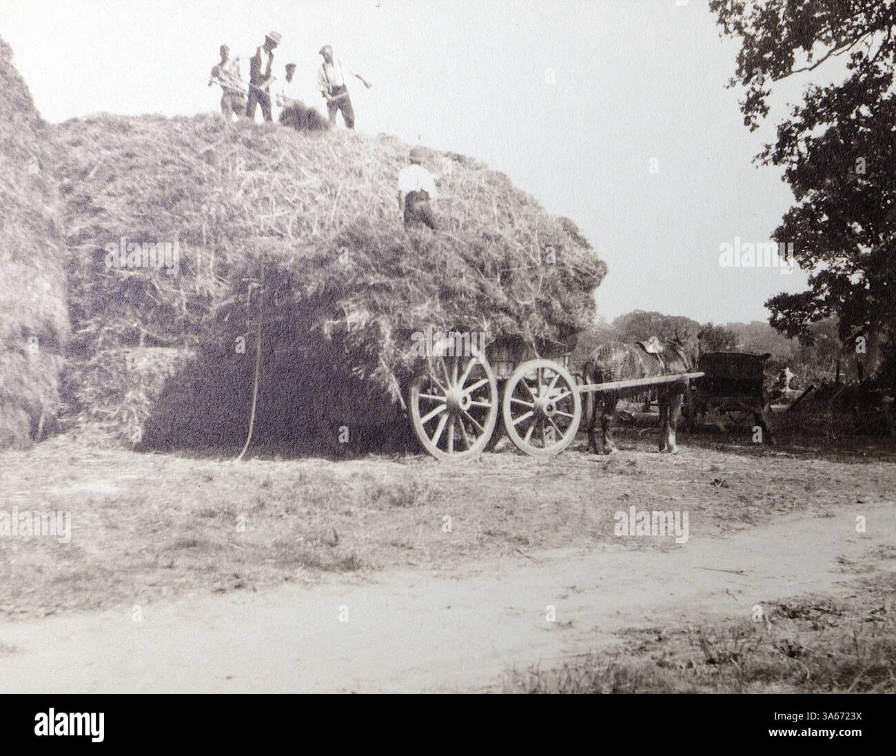 1920s british farm life hi-res stock photography and images - Alamy