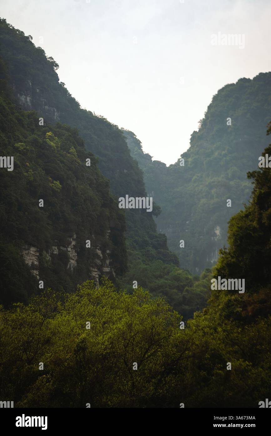 mountain valley covered in green foliage, with rugged limestone cliffs ...