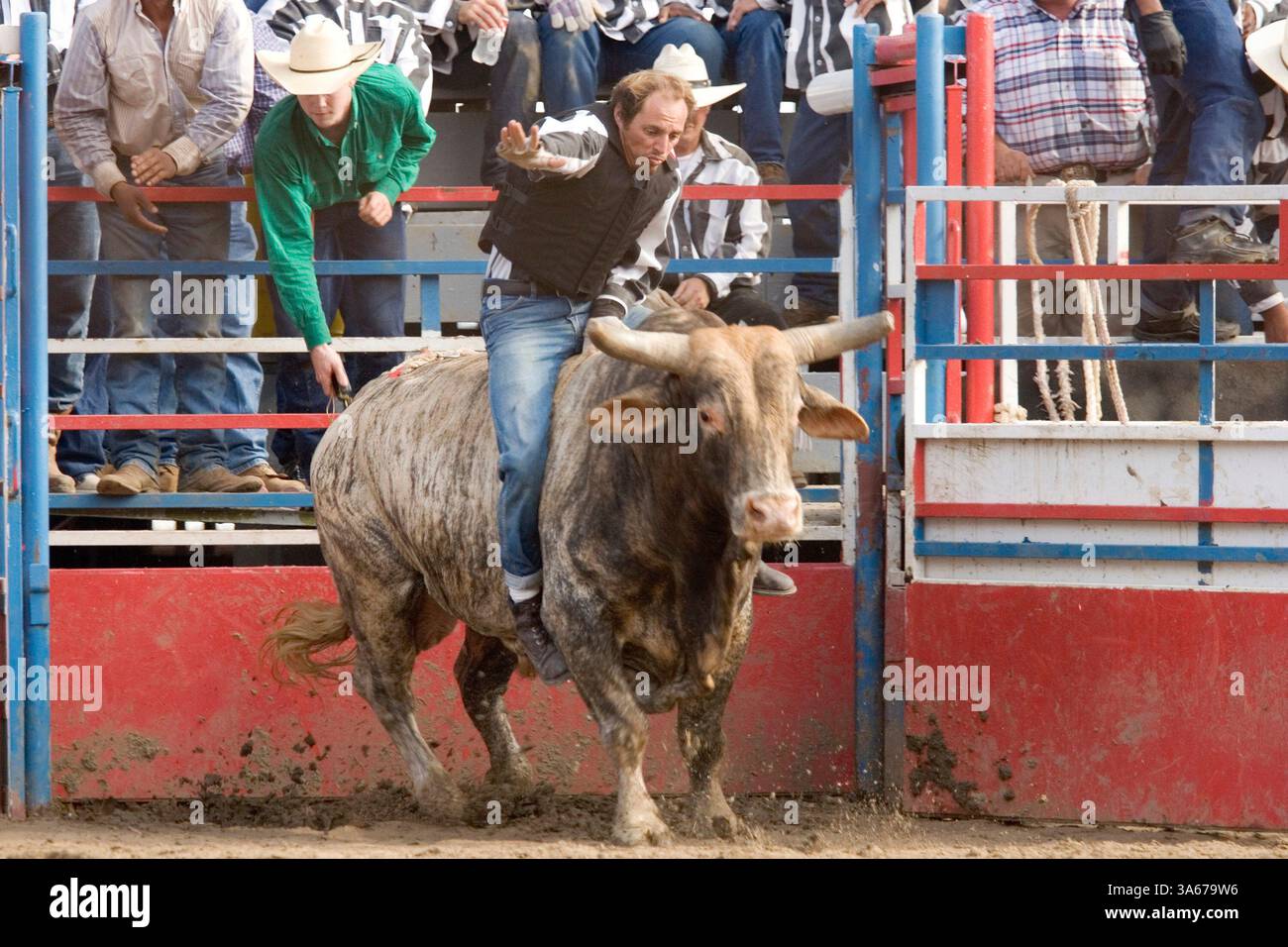 Oct 17, 2004; Angola, LA, USA; The bull riding event at the Louisiana ...
