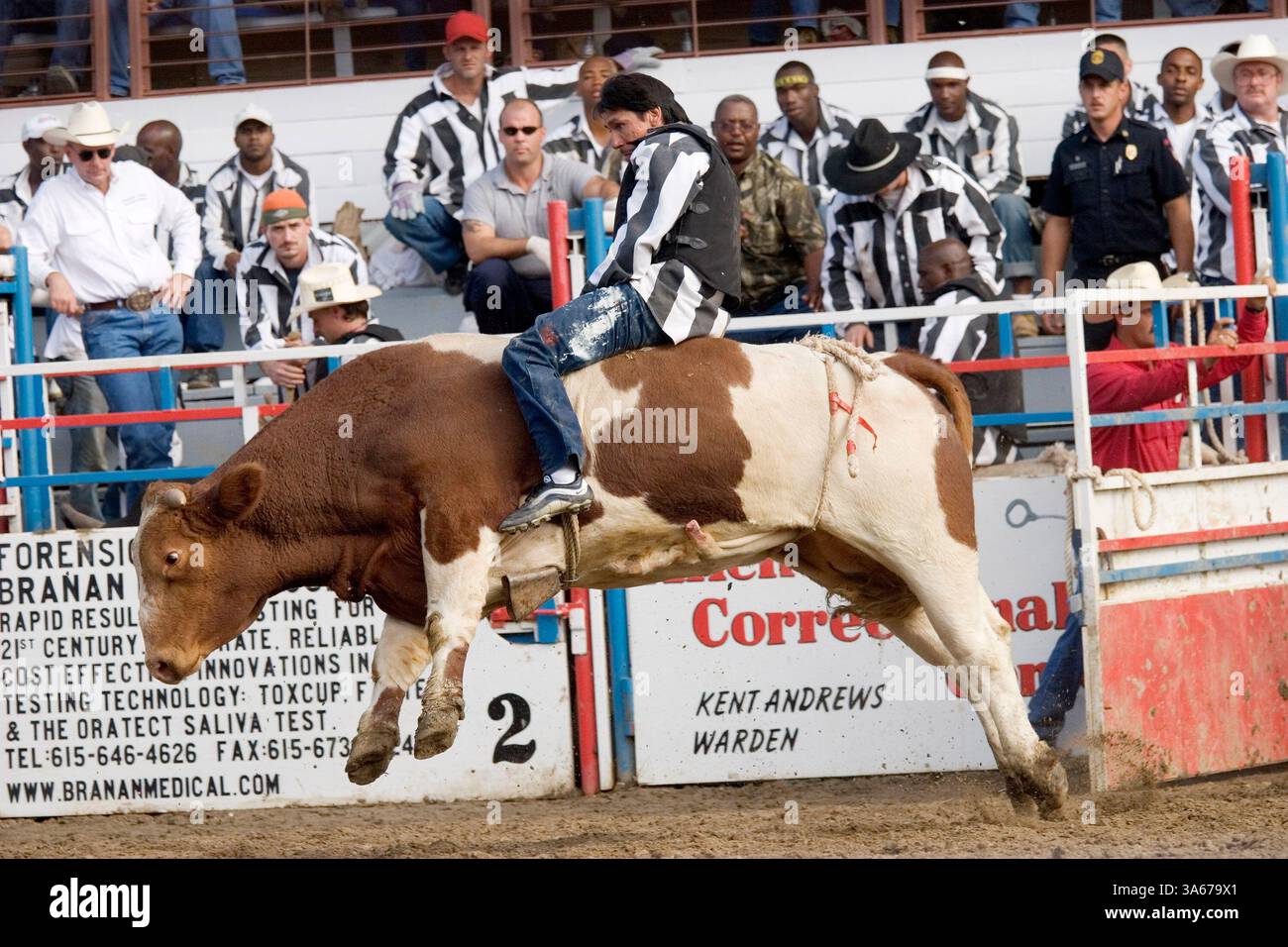 Oct 17, 2004; Angola, LA, USA; The bull riding event at the Louisiana ...