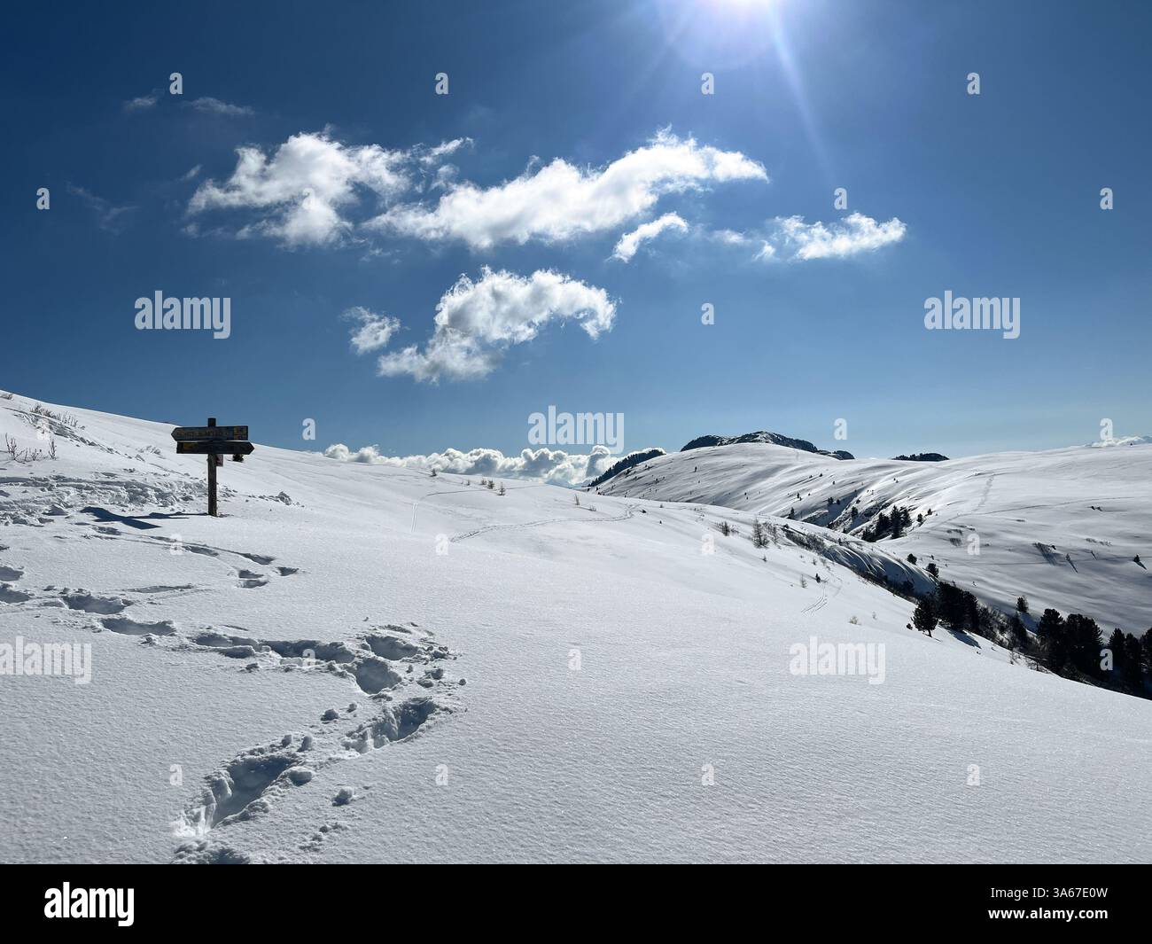 Latemar Dolomites, the largest ski area in Val di Fiemme-Obereggen ski ...