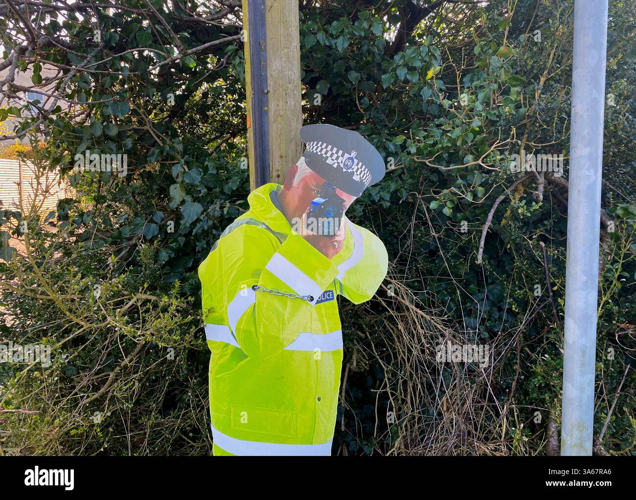 A cardboard cutout of a traffic policeman with radar gun to deter ...