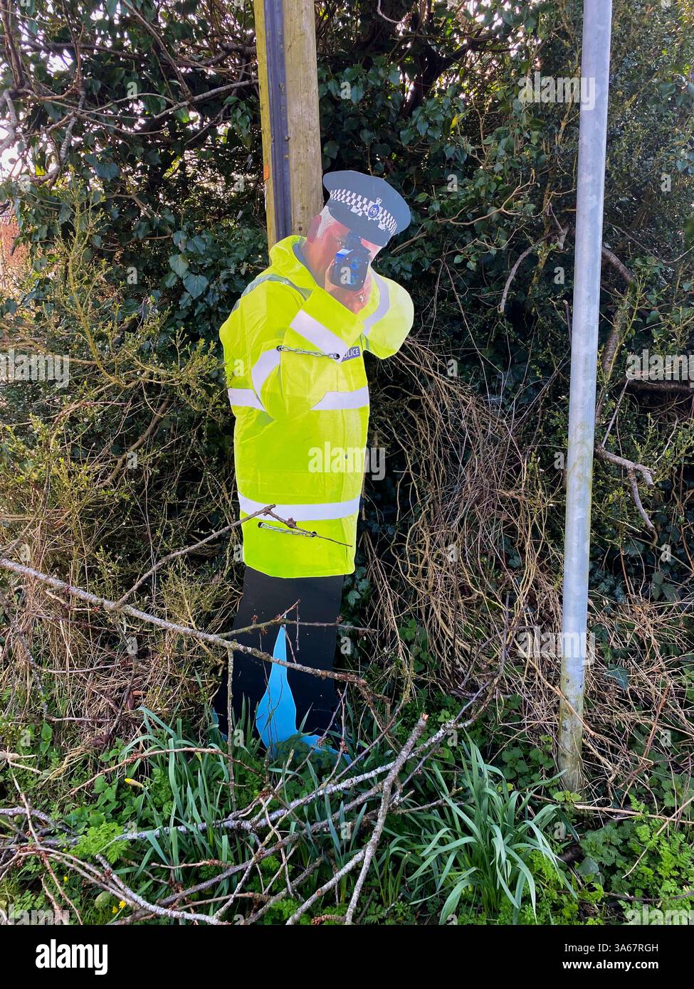 A cardboard cutout of a traffic policeman with radar gun to deter ...