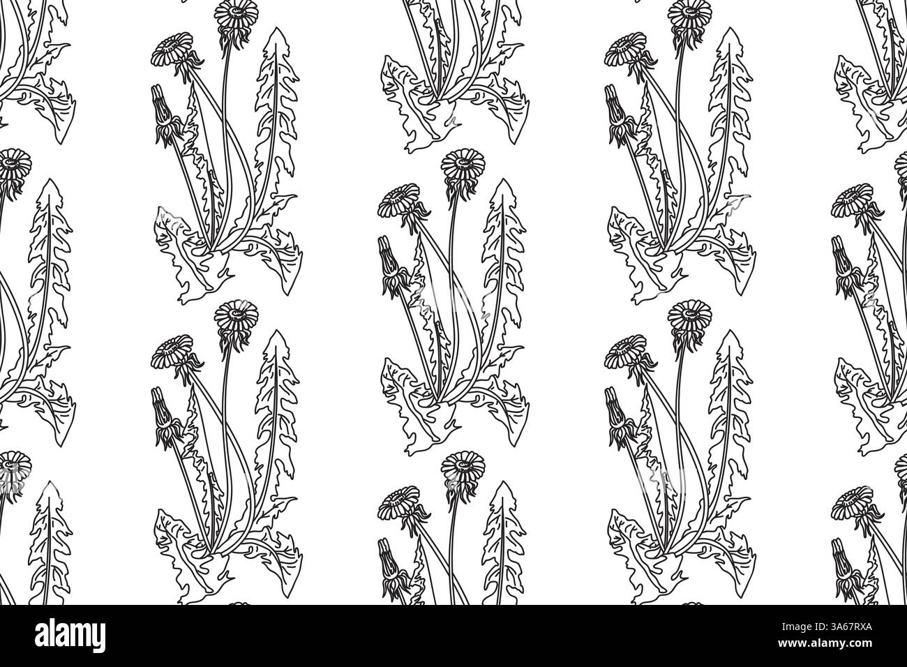 Line art botanical seamless floral pattern with dandelions vector ...