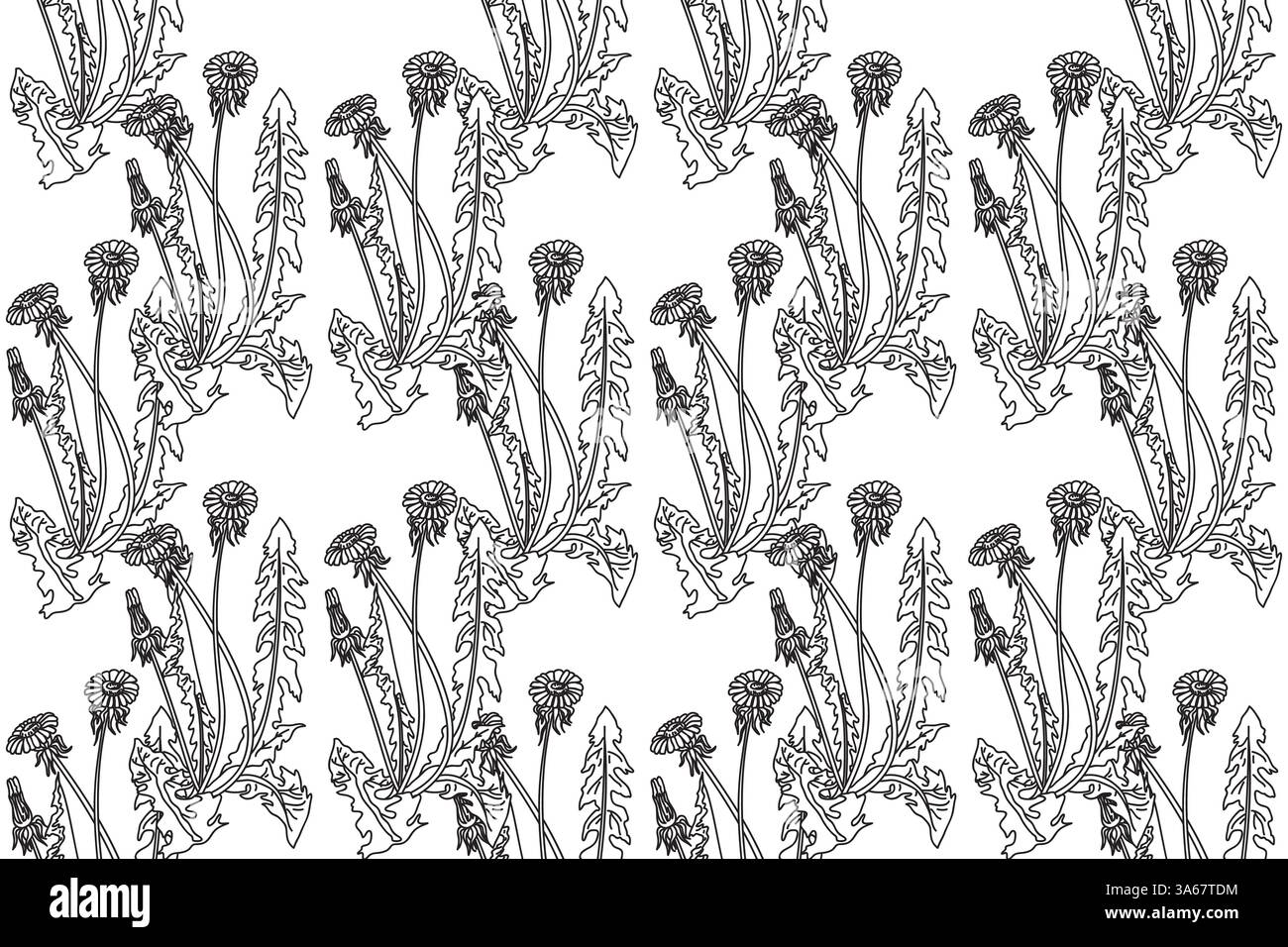 Line art botanical seamless floral pattern with dandelions vector ...