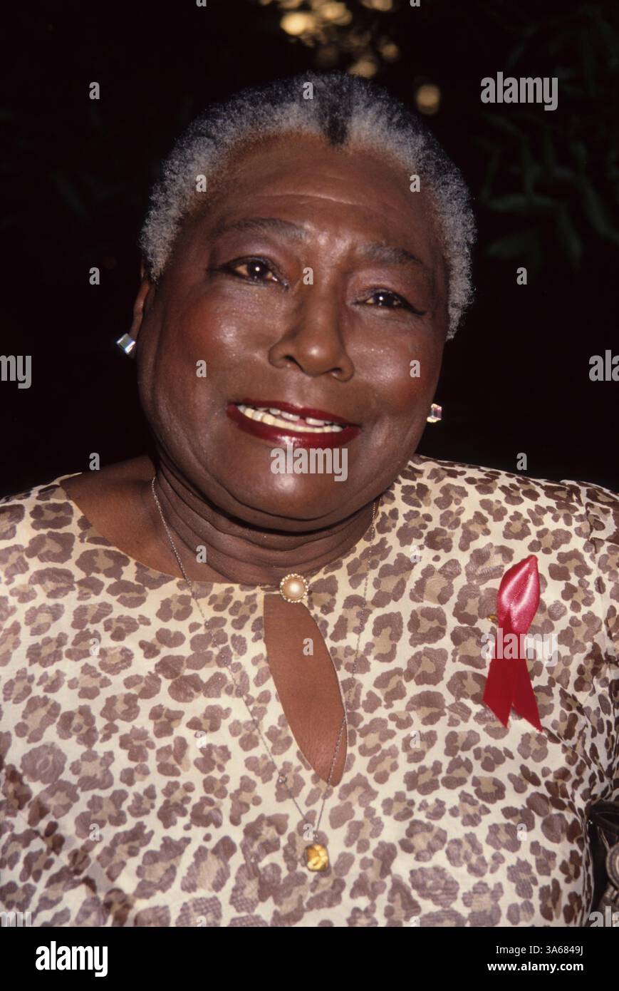 ESTHER ROLLE.1992.(Credit Image: © Michael Ferguson/Globe Photos ...