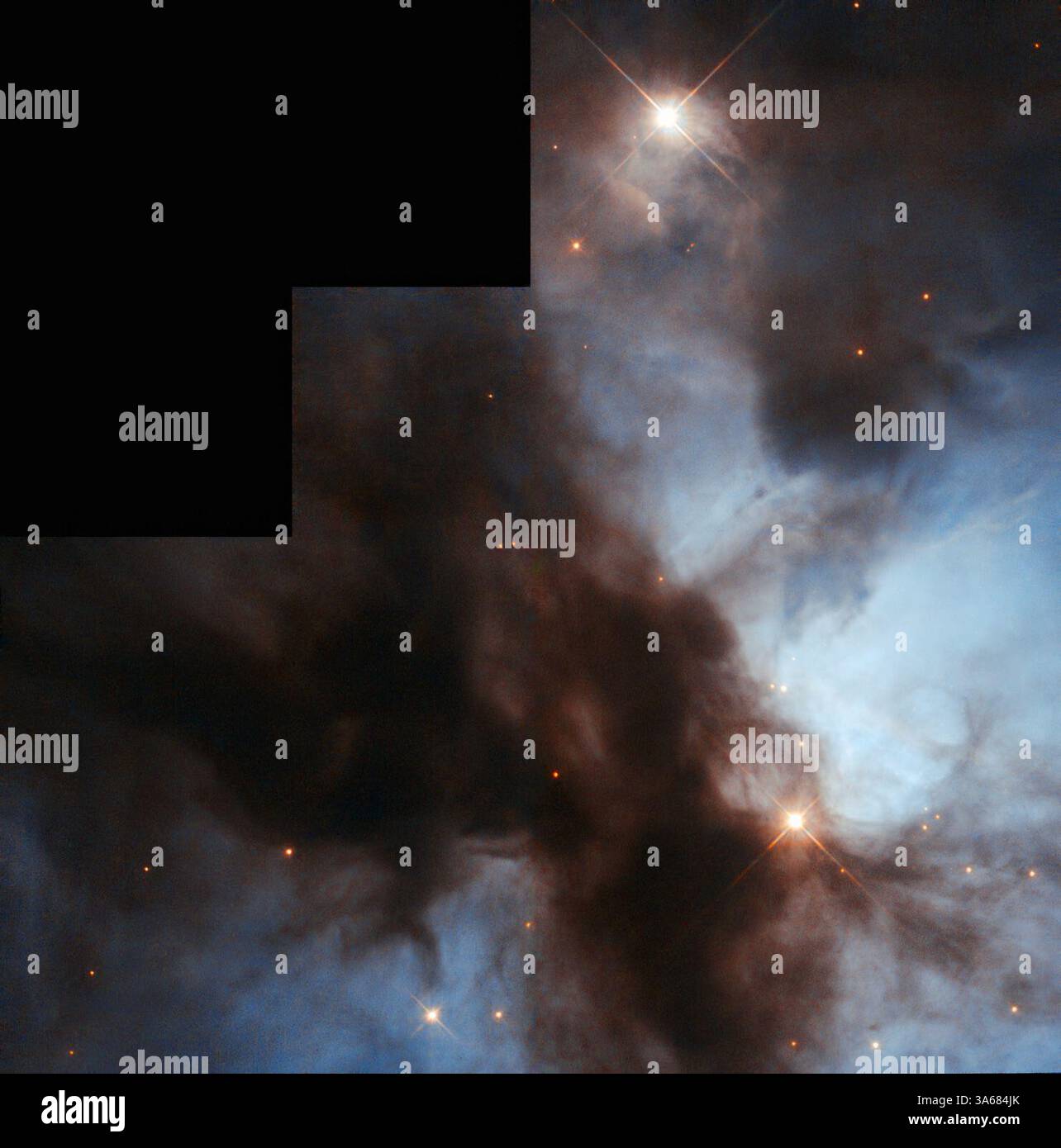 June 3, 2013 - Unlike the venomous fictional plants that share its name ...