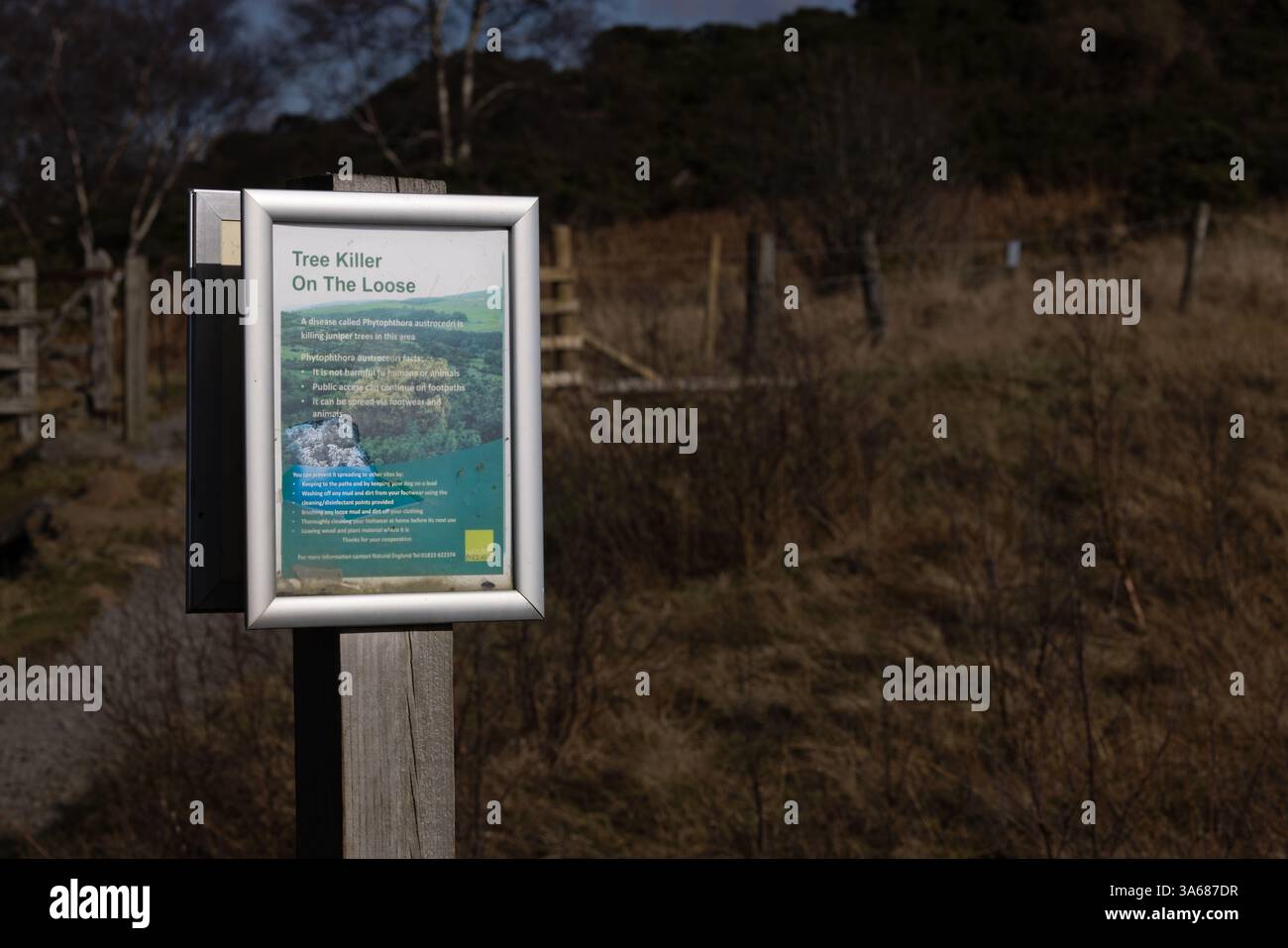Tree sign Cheddar Gorge Somerset April 2023 Stock Photo - Alamy