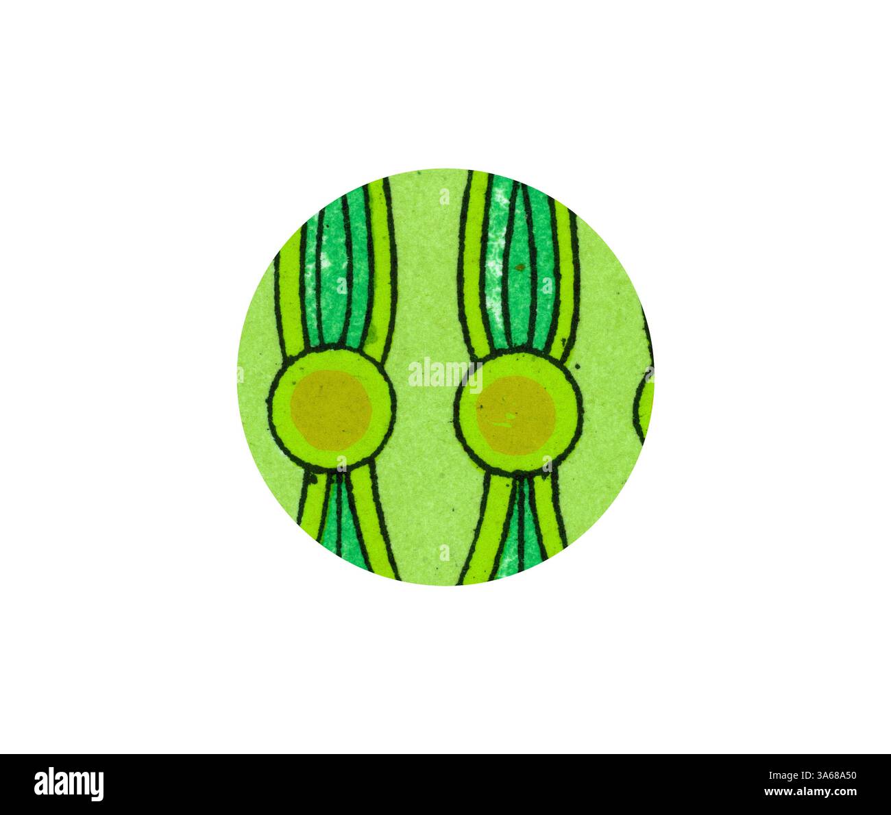 A vibrant pattern featuring elongated shapes in green and yellow ...