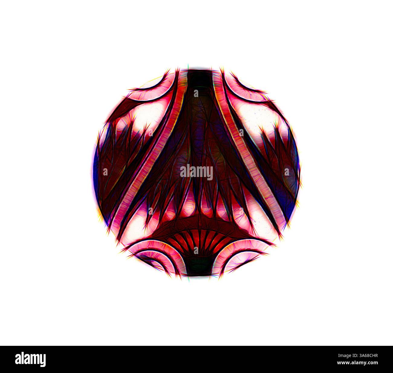 Dynamic visual rhythm reminiscent of natural forms hi-res stock ...