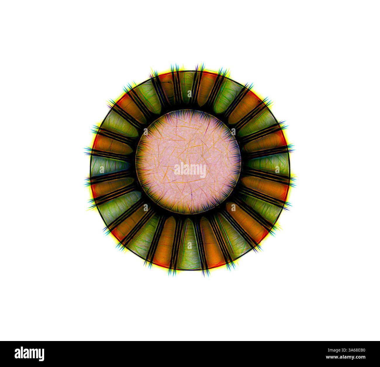Radiating elements in various shades hi-res stock photography and ...