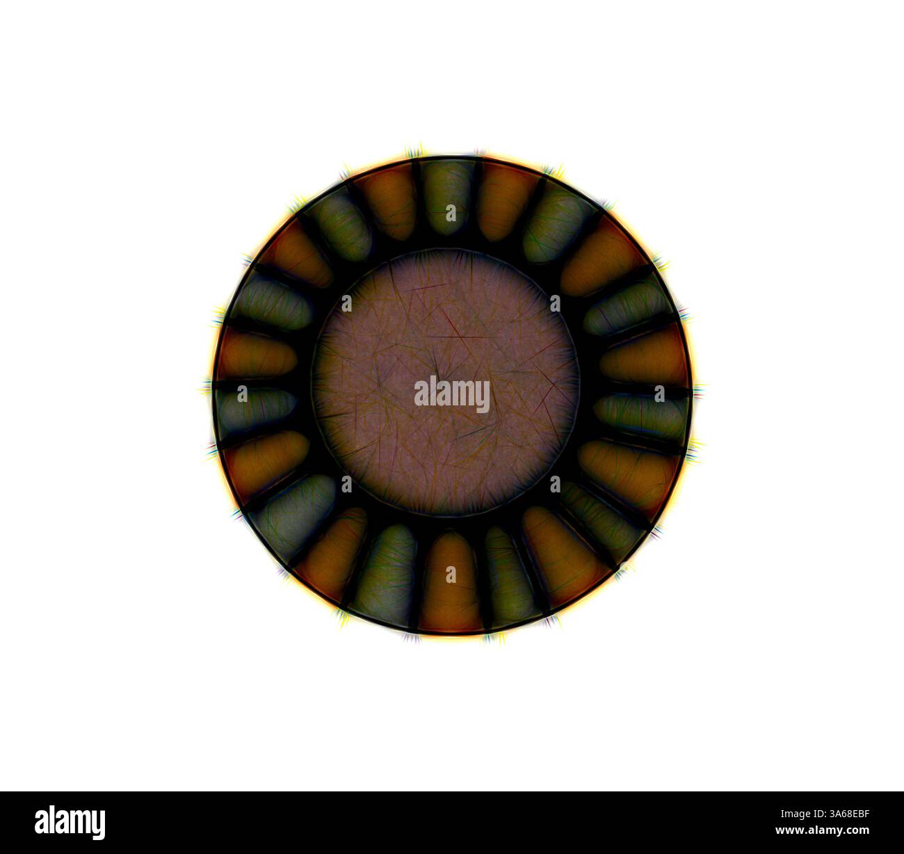 A circular design featuring a central disc surrounded by elongated ...