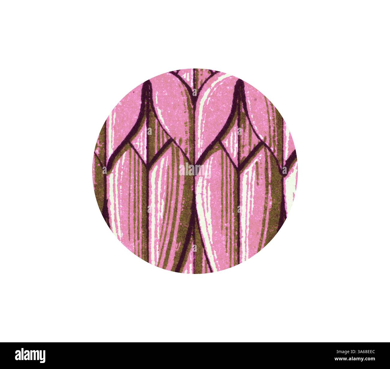 Intricate pattern of elongated shapes hi-res stock photography and ...