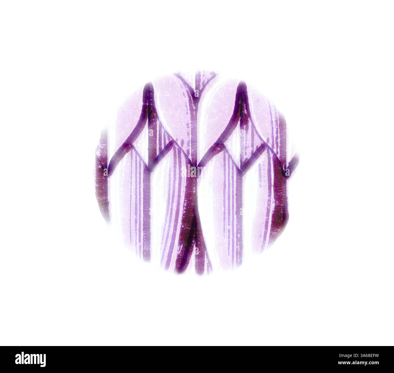 A circular pattern featuring elongated, wavy shapes in a gradient of ...