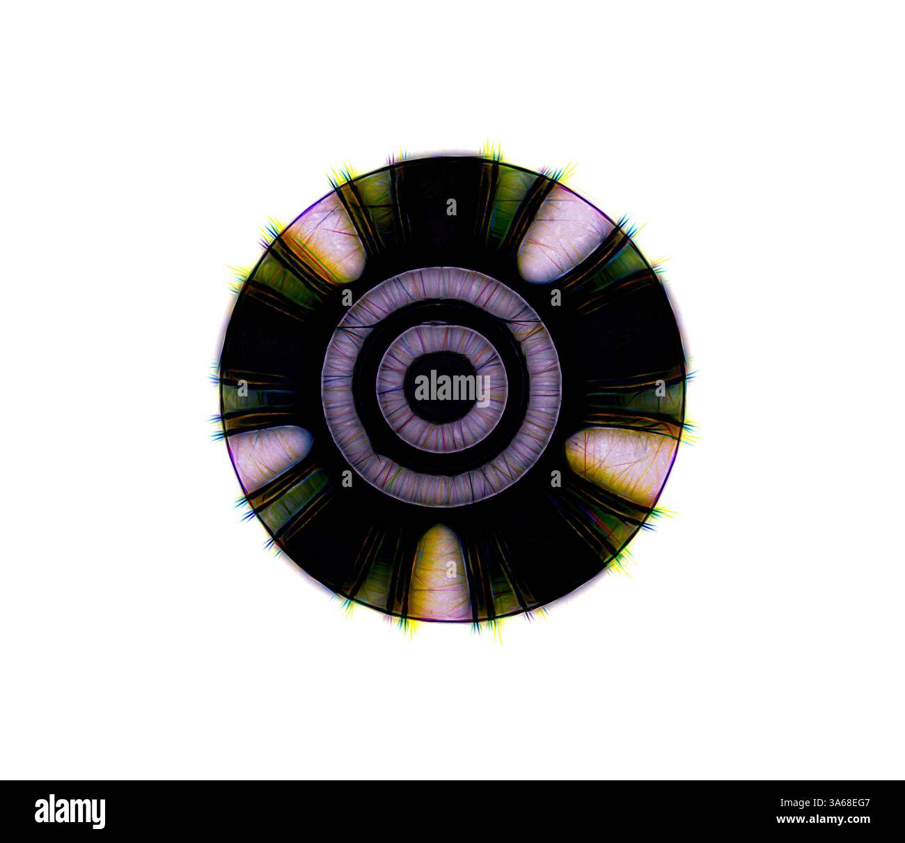 Featuring concentric rings hi-res stock photography and images - Alamy