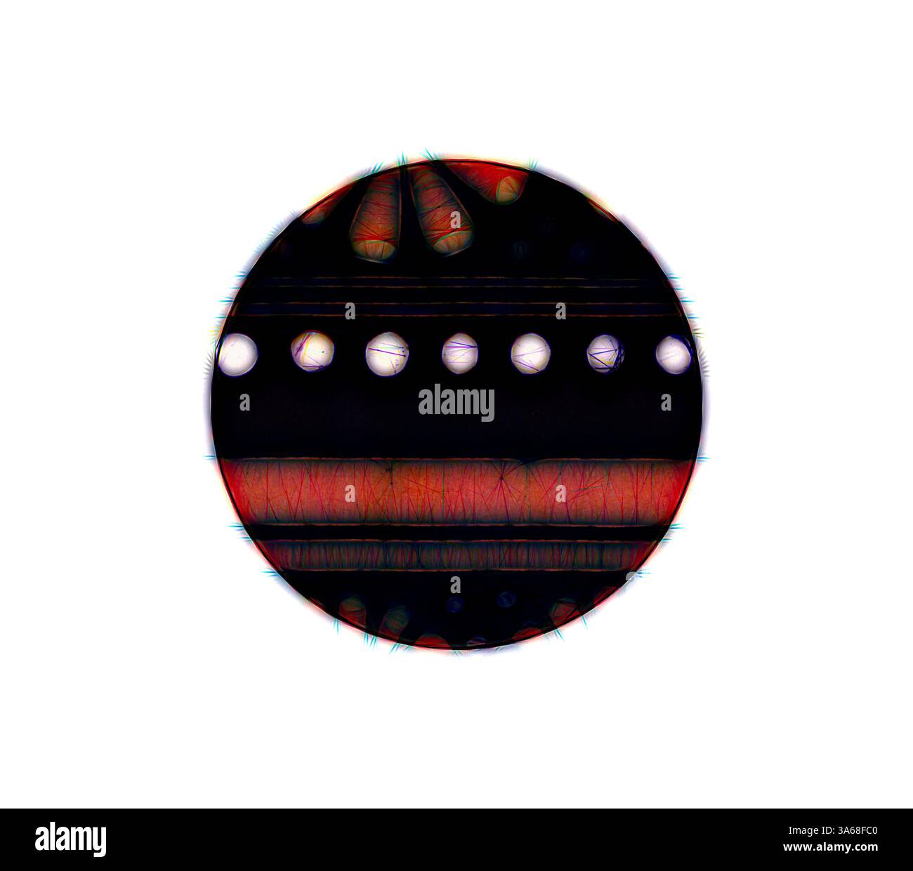 Intriguing visual rhythm hi-res stock photography and images - Alamy