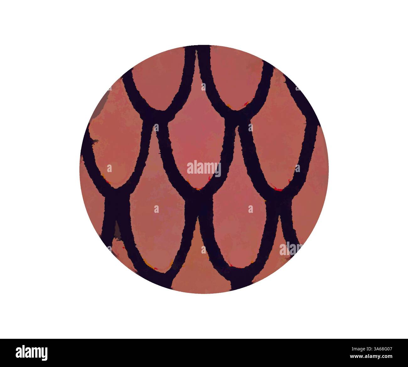 A circular pattern featuring overlapping scales in shades of pink and ...