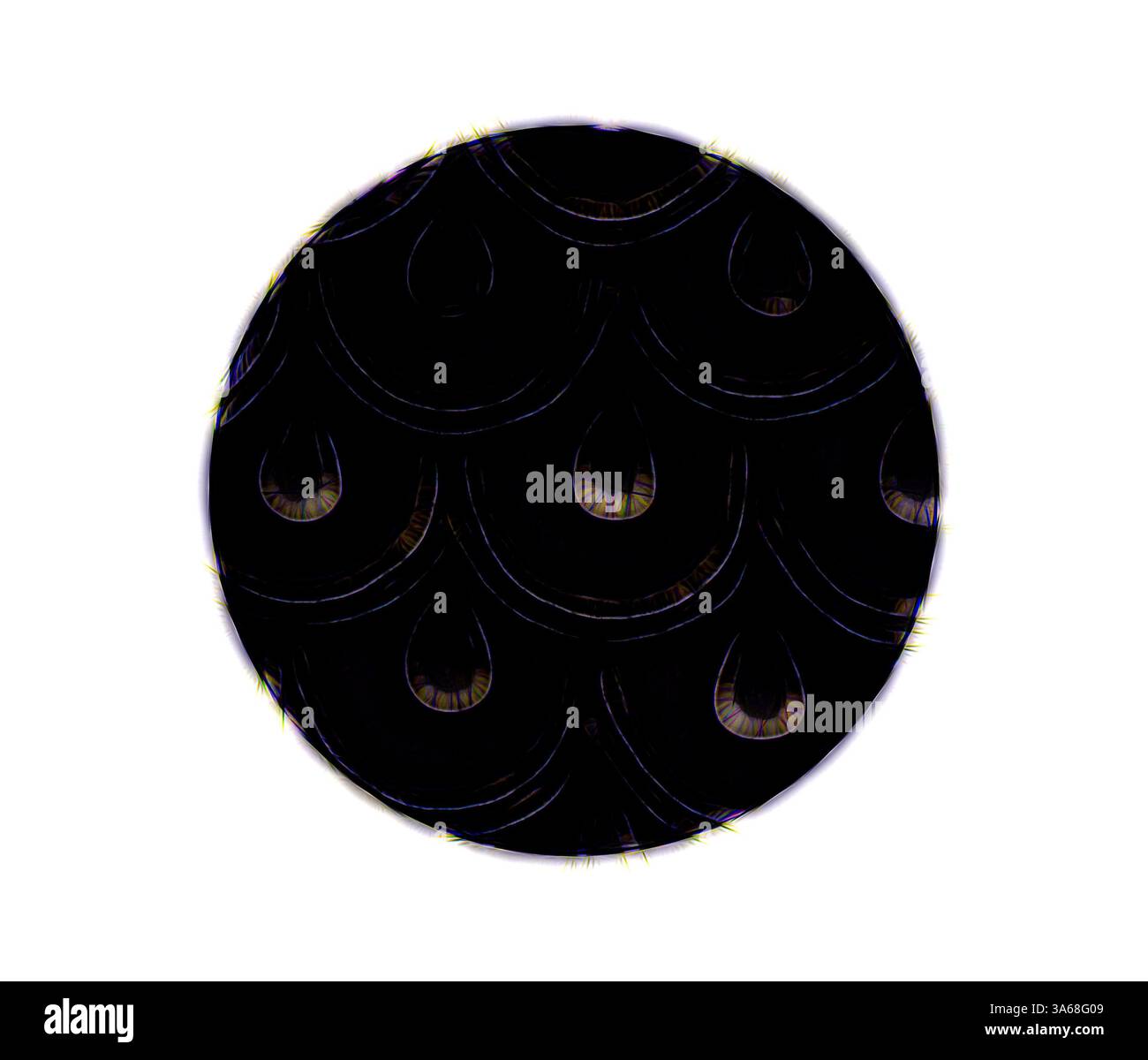 A circular design featuring a repeating pattern of scalloped shapes ...