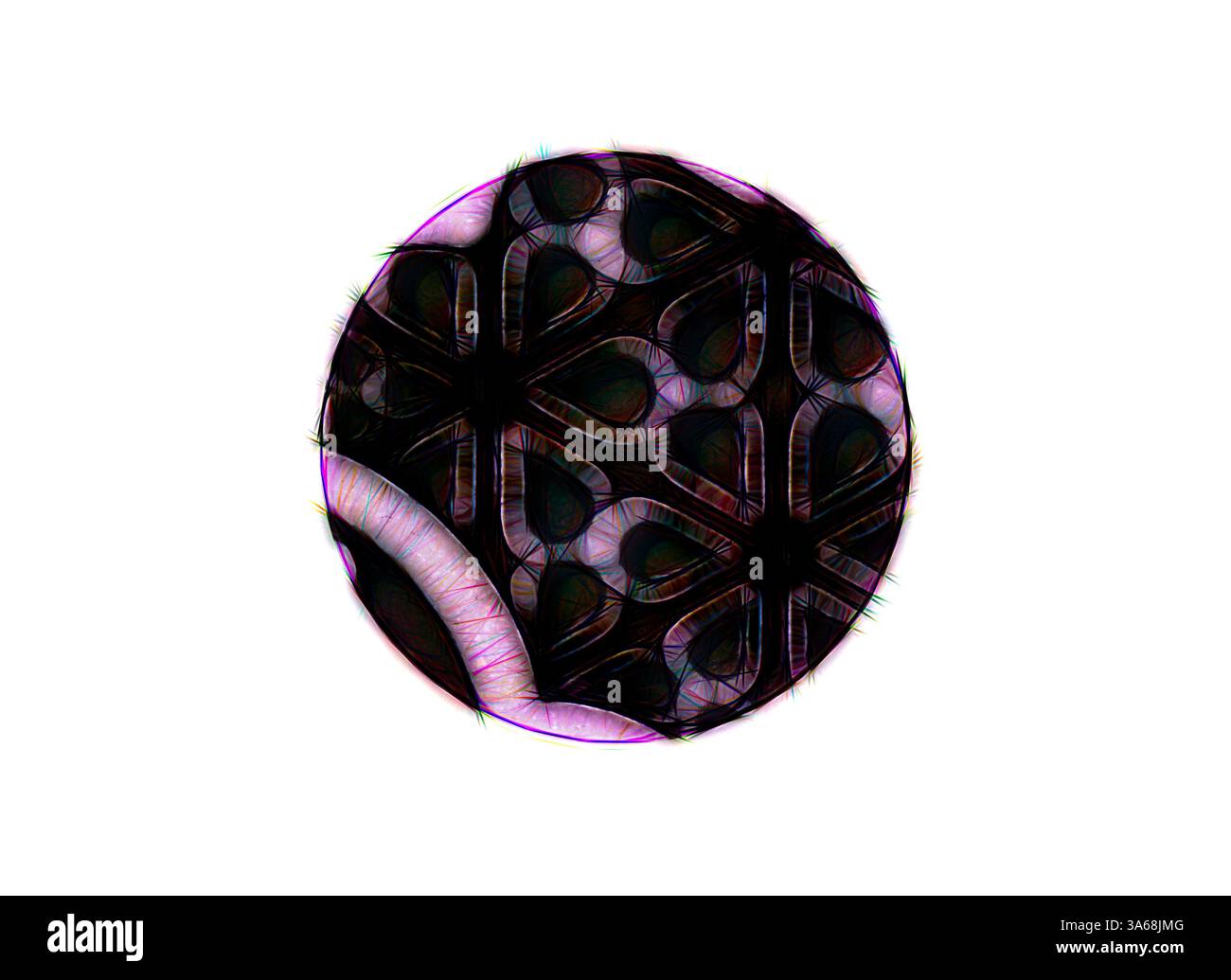 Contrasting elements Cut Out Stock Images & Pictures - Alamy