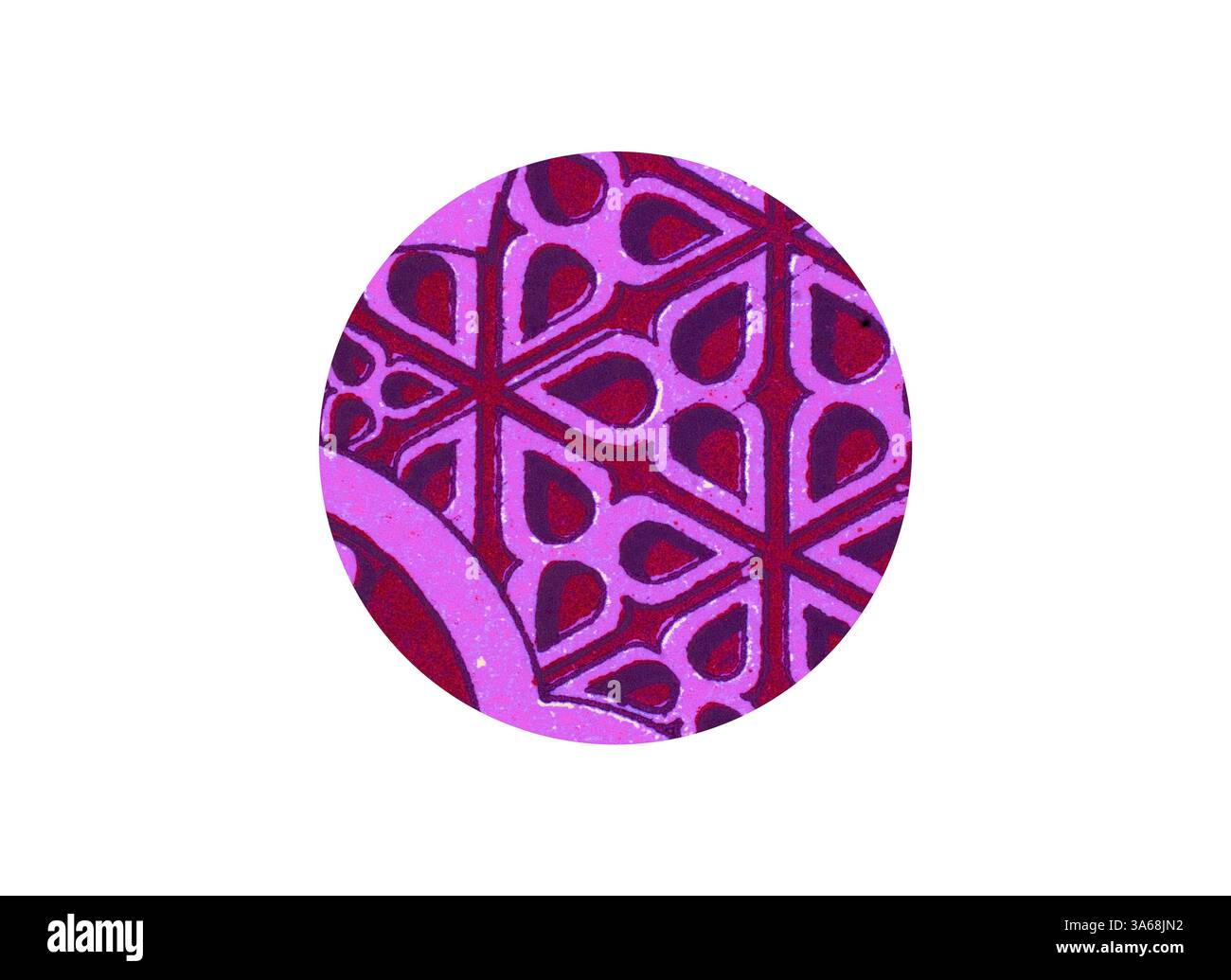A vibrant circular design featuring intricate patterns with a mix of ...