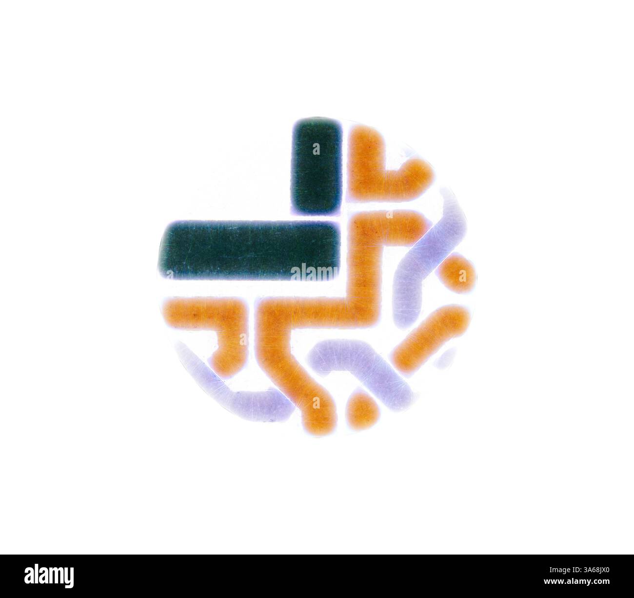 Transformed into various forms hi-res stock photography and images - Alamy