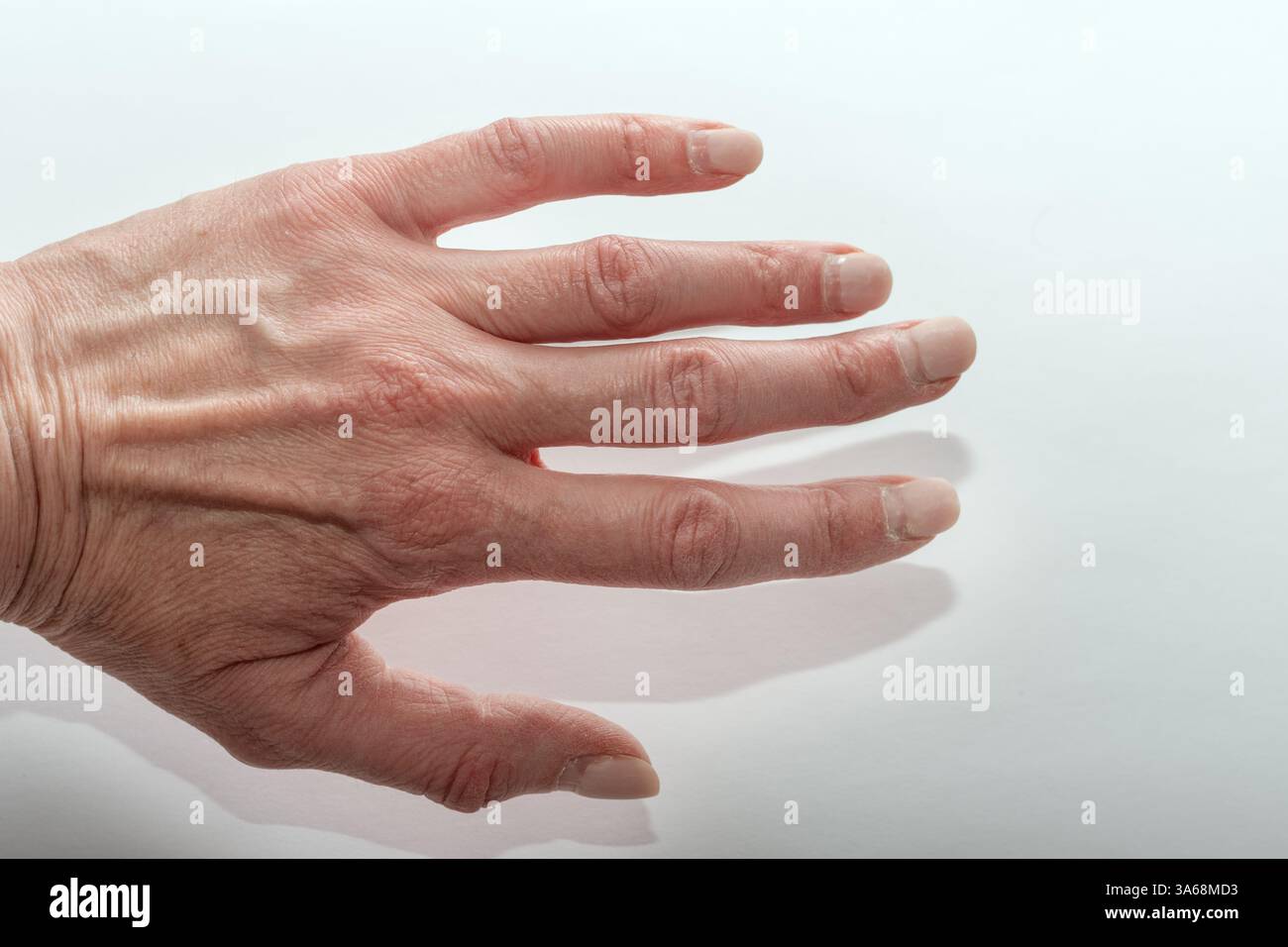 A detailed close-up of an elderly person's hand with visible wrinkles ...