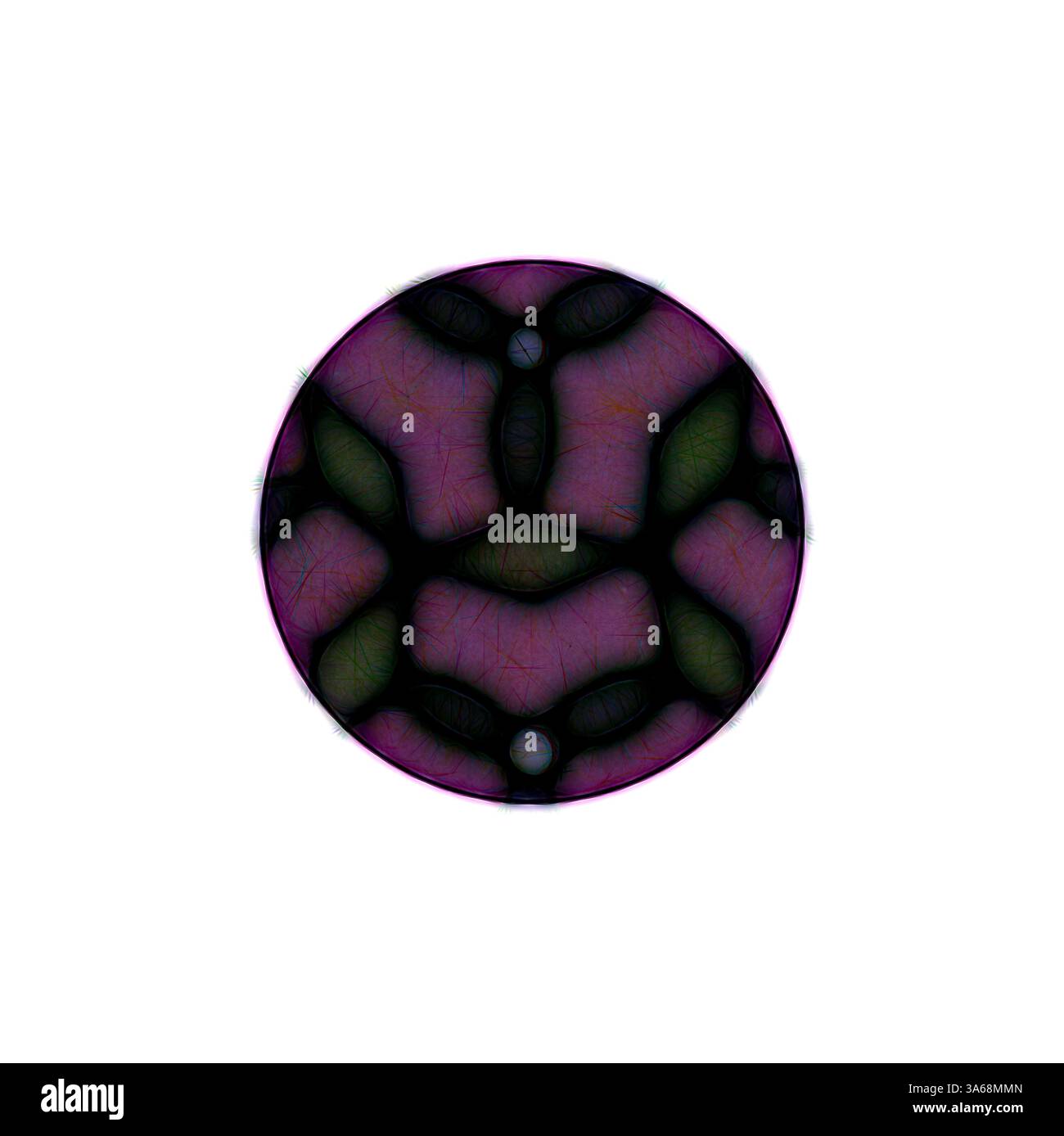 A circular design featuring intricate patterns and symmetrical shapes ...