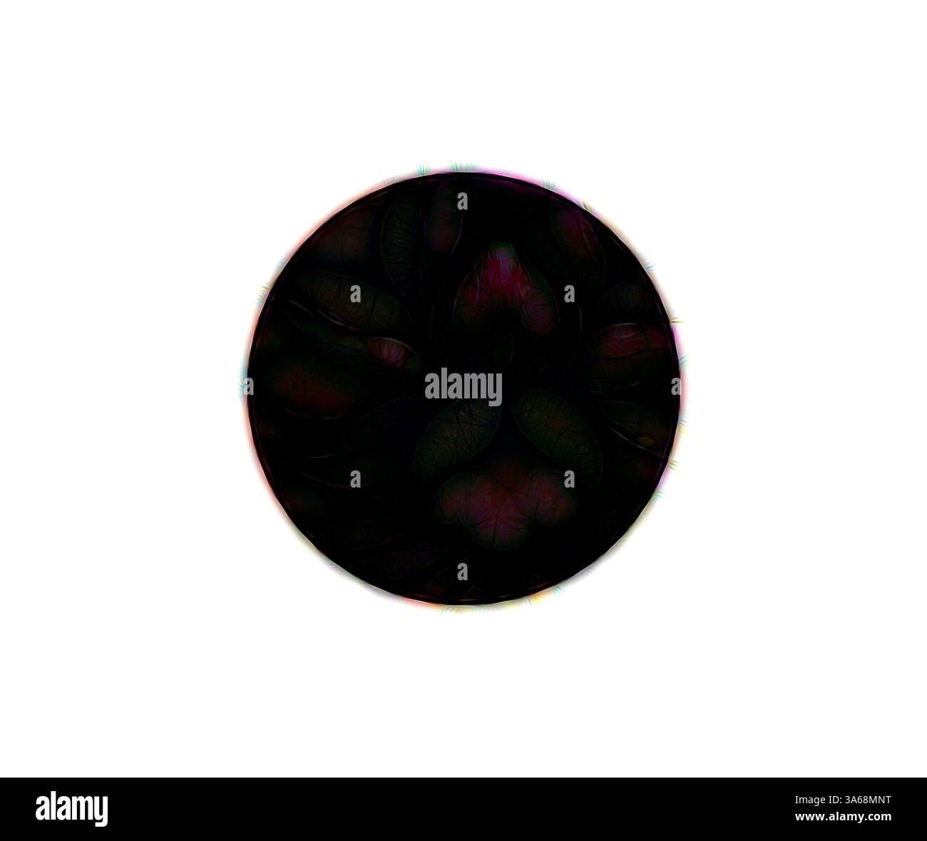 An intricate oval shape featuring dark, organic patterns that resemble ...