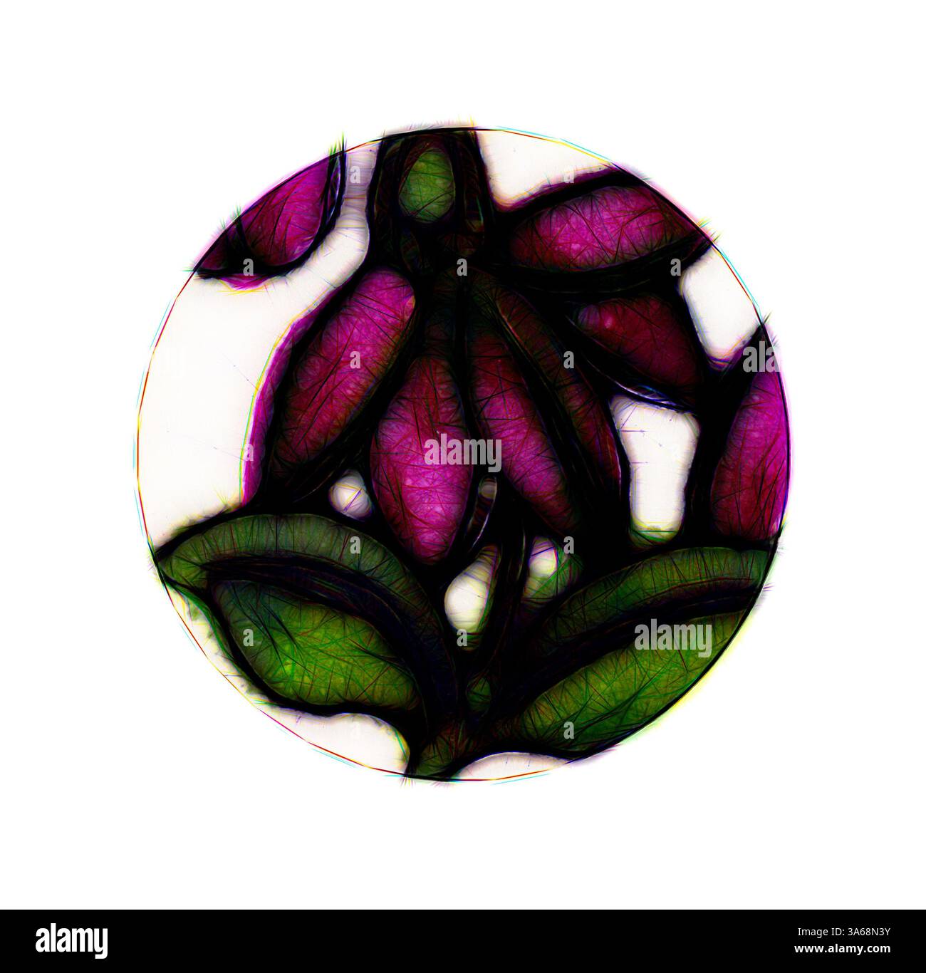 A vibrant floral design featuring stylized pink petals and green leaves ...