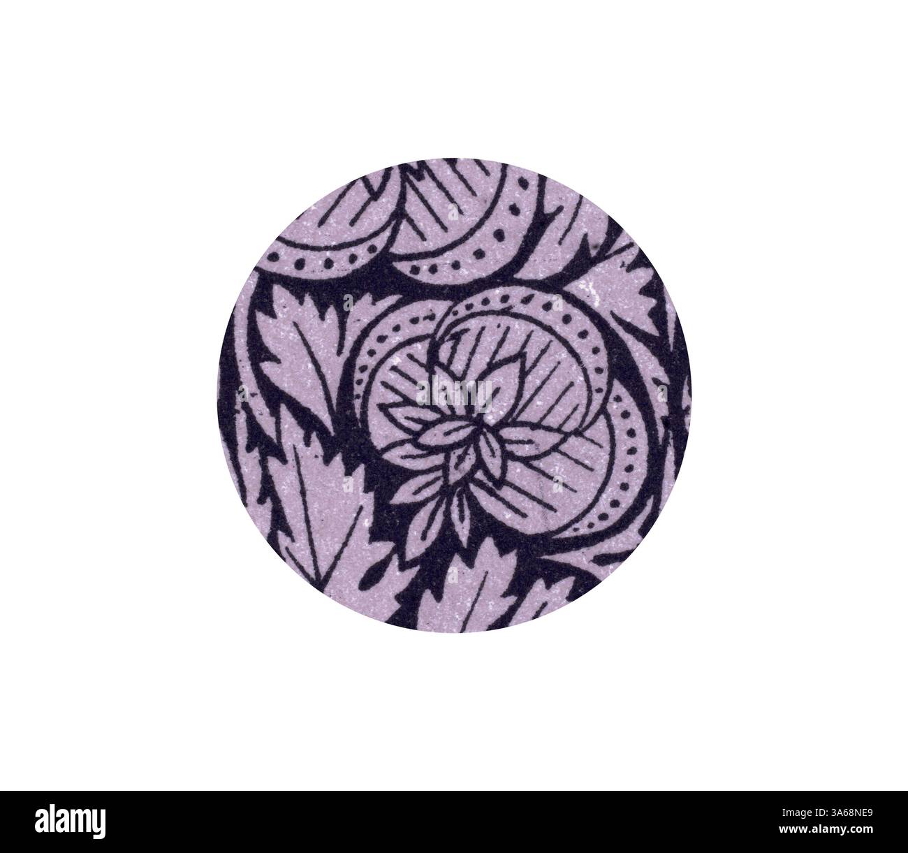 Contrasting color scheme Cut Out Stock Images & Pictures - Alamy