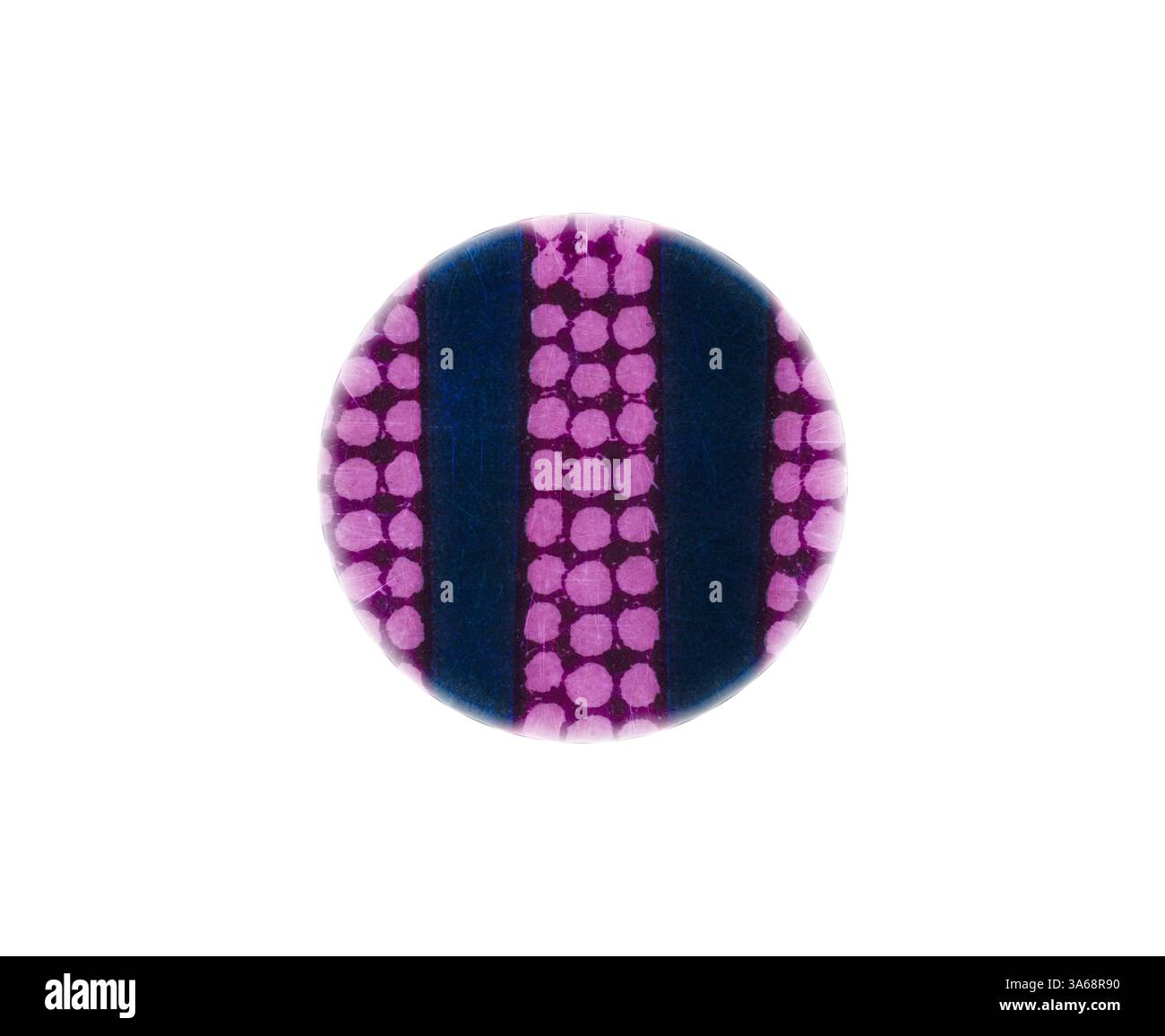 A circular design featuring vibrant purple and navy blue stripes ...