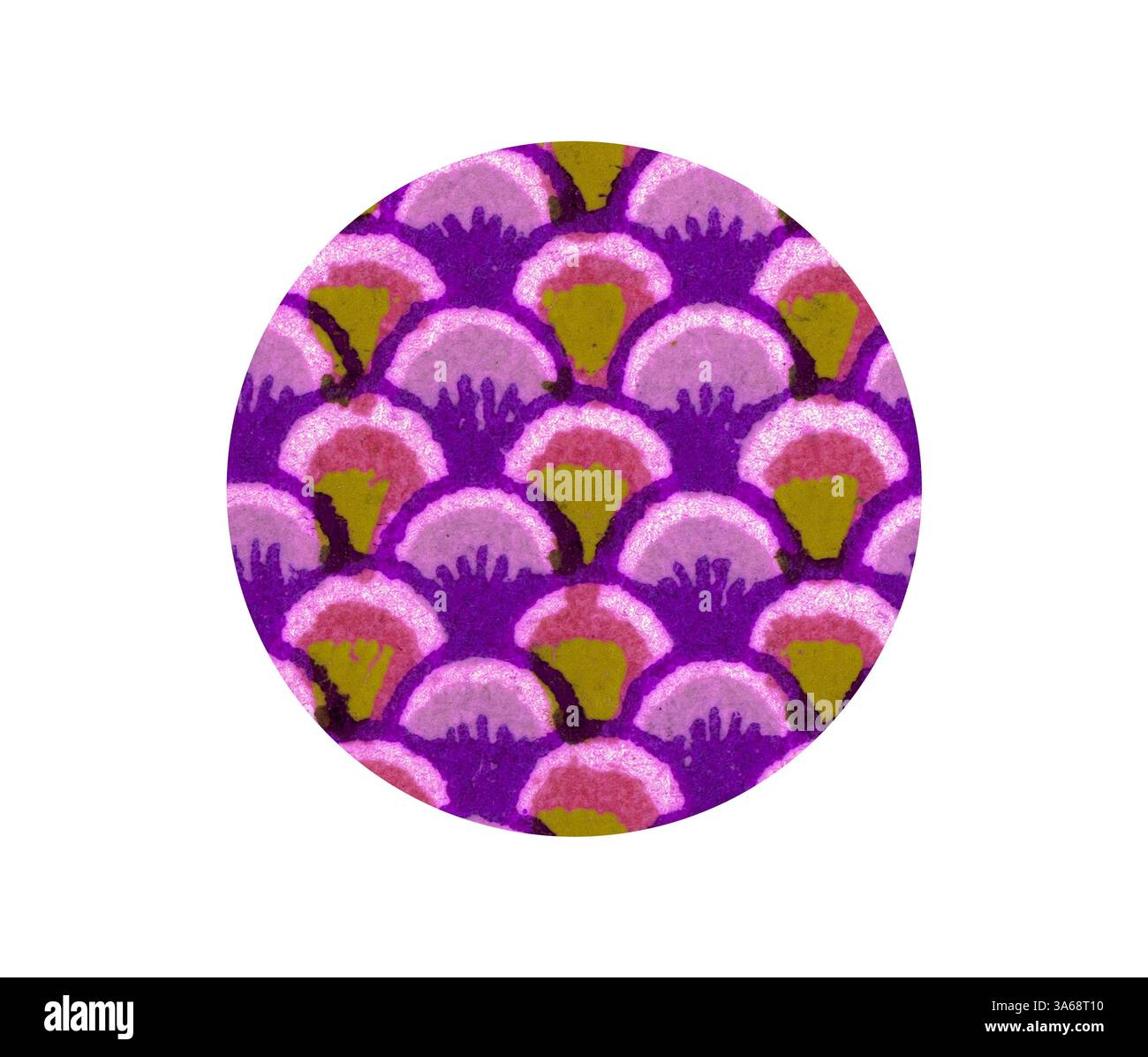Overlapping scallop shapes hi-res stock photography and images - Alamy