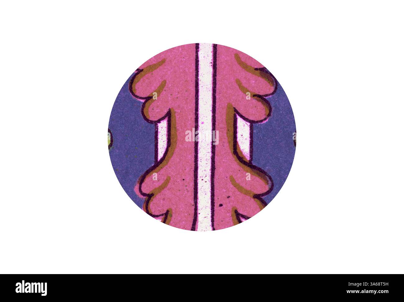A vibrant design featuring intricate pink and purple patterns, accented ...