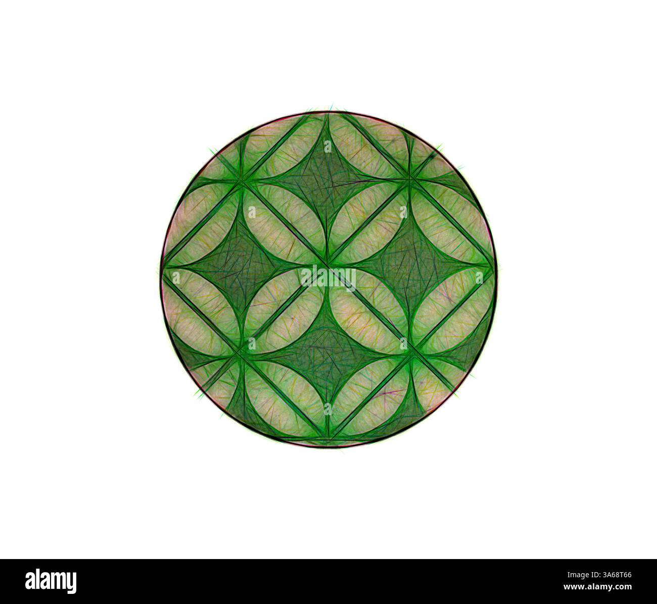 A circular design featuring intricate overlapping leaf patterns in ...