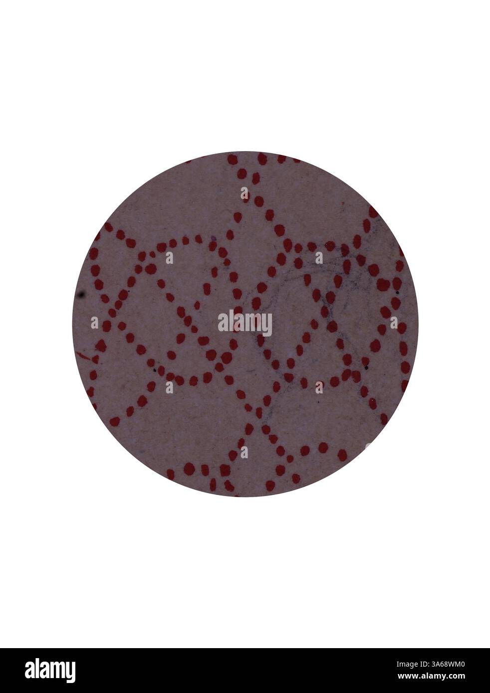 A textured surface features a pattern of interconnected circular ...