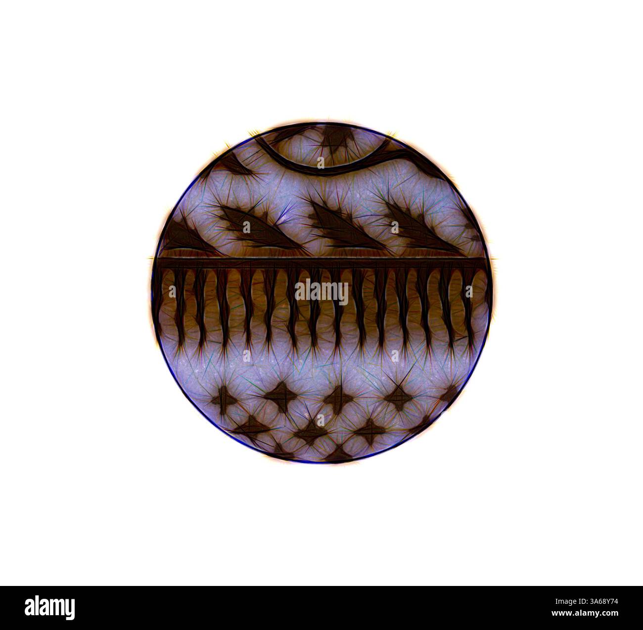 Intricate visual rhythm Cut Out Stock Images & Pictures - Alamy