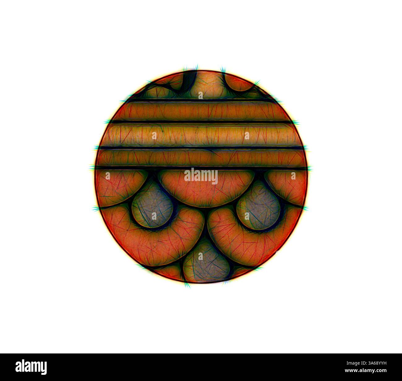 Mix of organic curves hi-res stock photography and images - Alamy