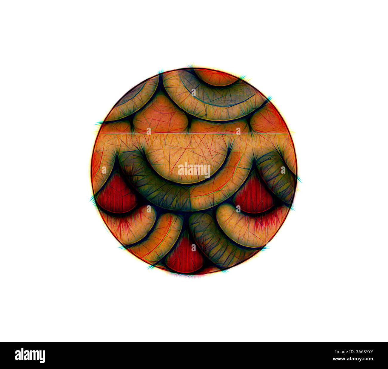 Intertwining shapes in warm tones of orange hi-res stock photography ...