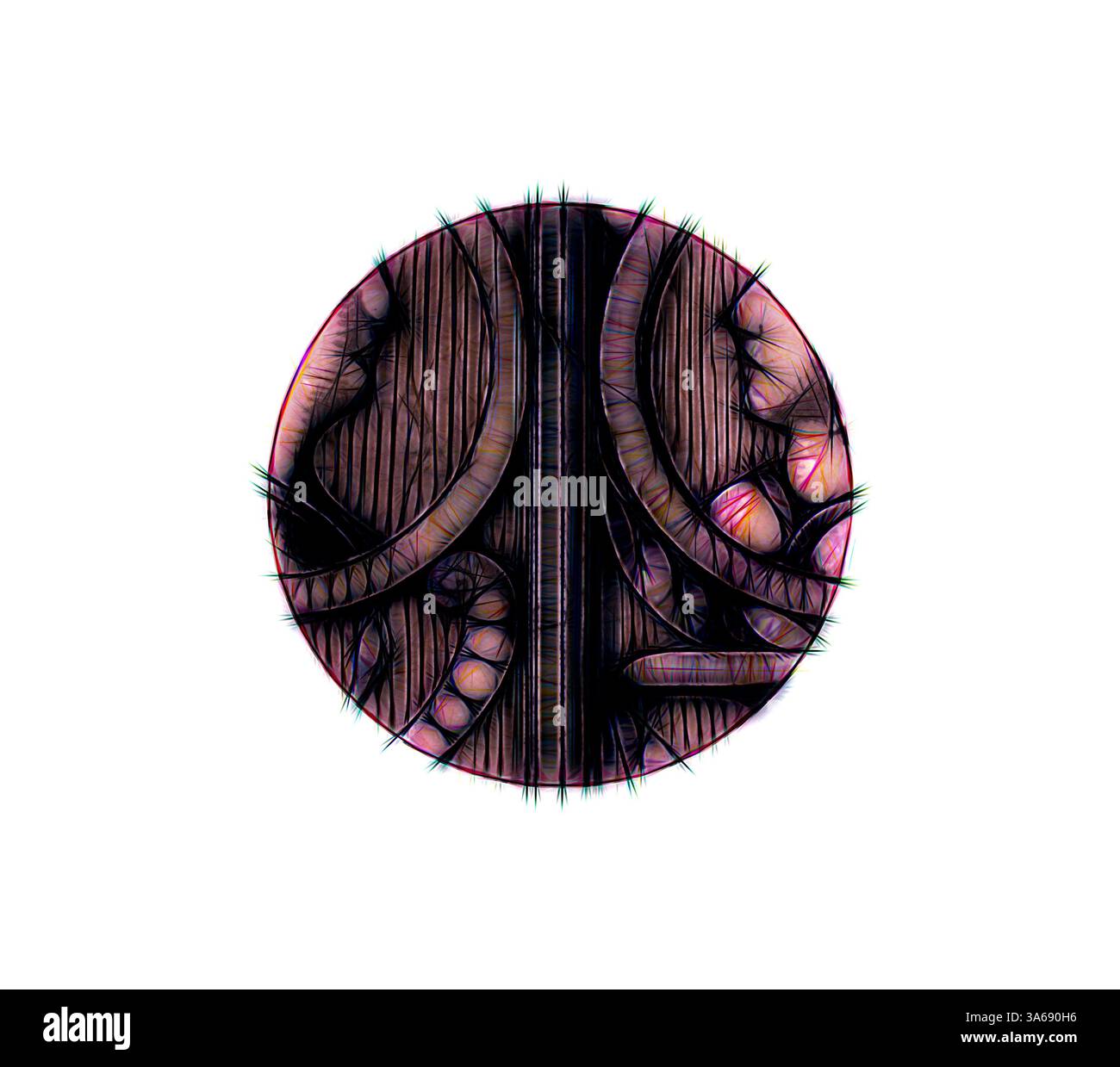 An abstract design featuring intertwined organic shapes and lines that ...