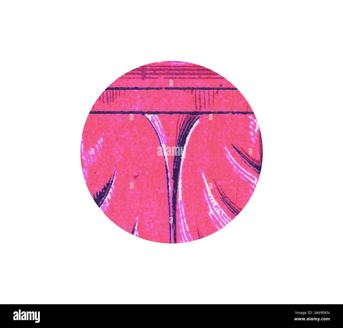 Highlighting elegant folds hi-res stock photography and images - Alamy