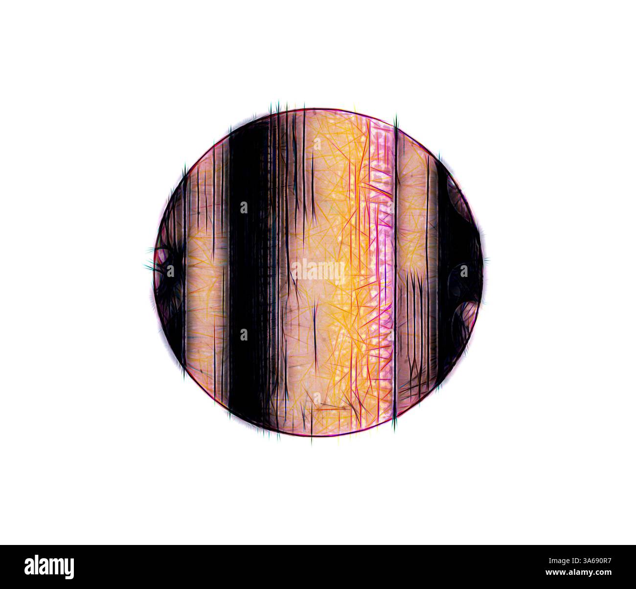 Elaborate design features intricate textures hi-res stock photography ...